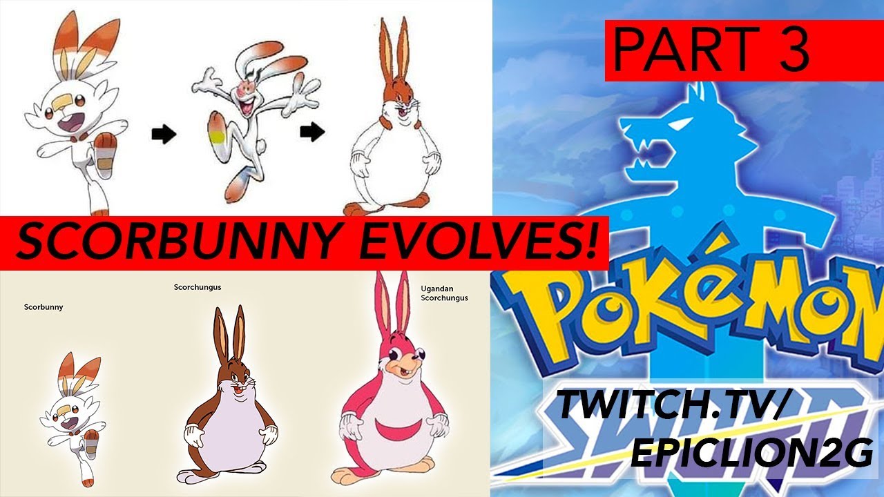 Scorbunny Evolves?! / Pokemon Sword Part 3 - YouTube