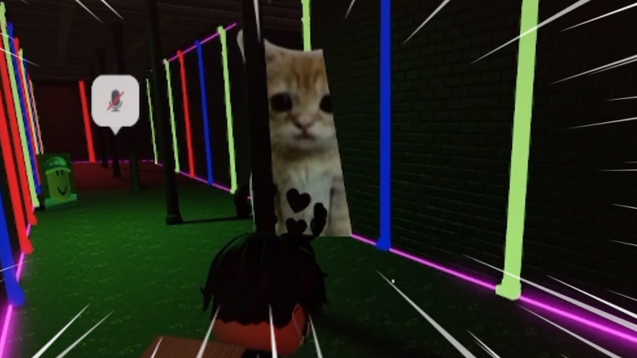 The EVADE Experience - YouTube