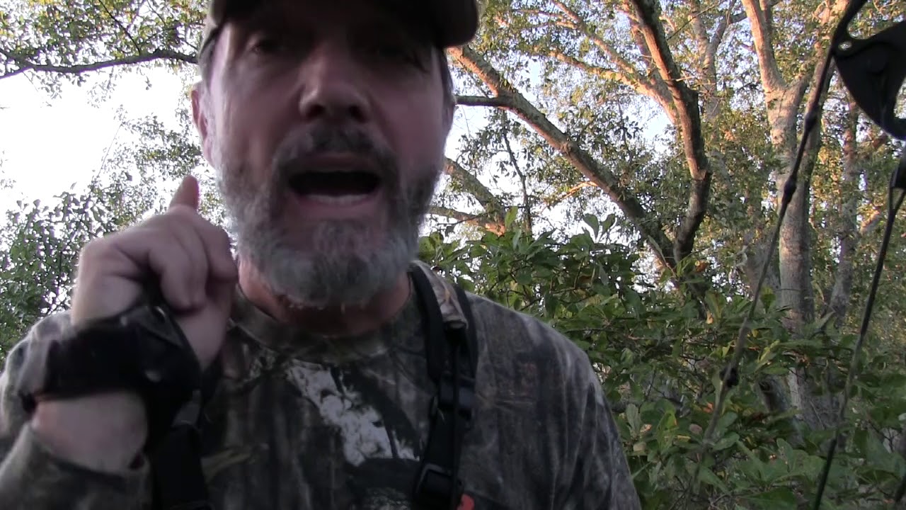 Urban Hunting 1 - YouTube