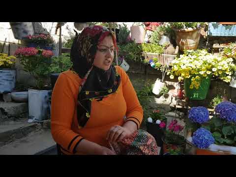 HER DALDAN GÜLELİM | AH O BARBUNYA AH YIL 92 |KOMEDİ