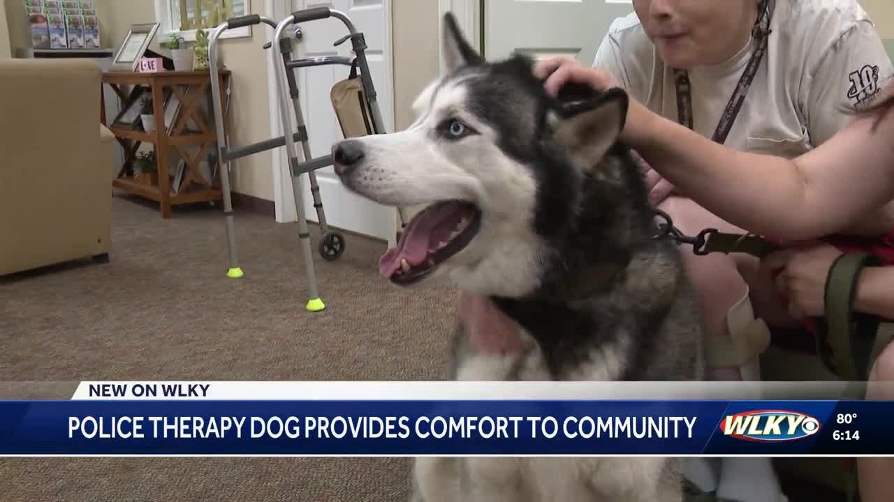 Bardstown Police Department using therapy dog to help manage stress ...