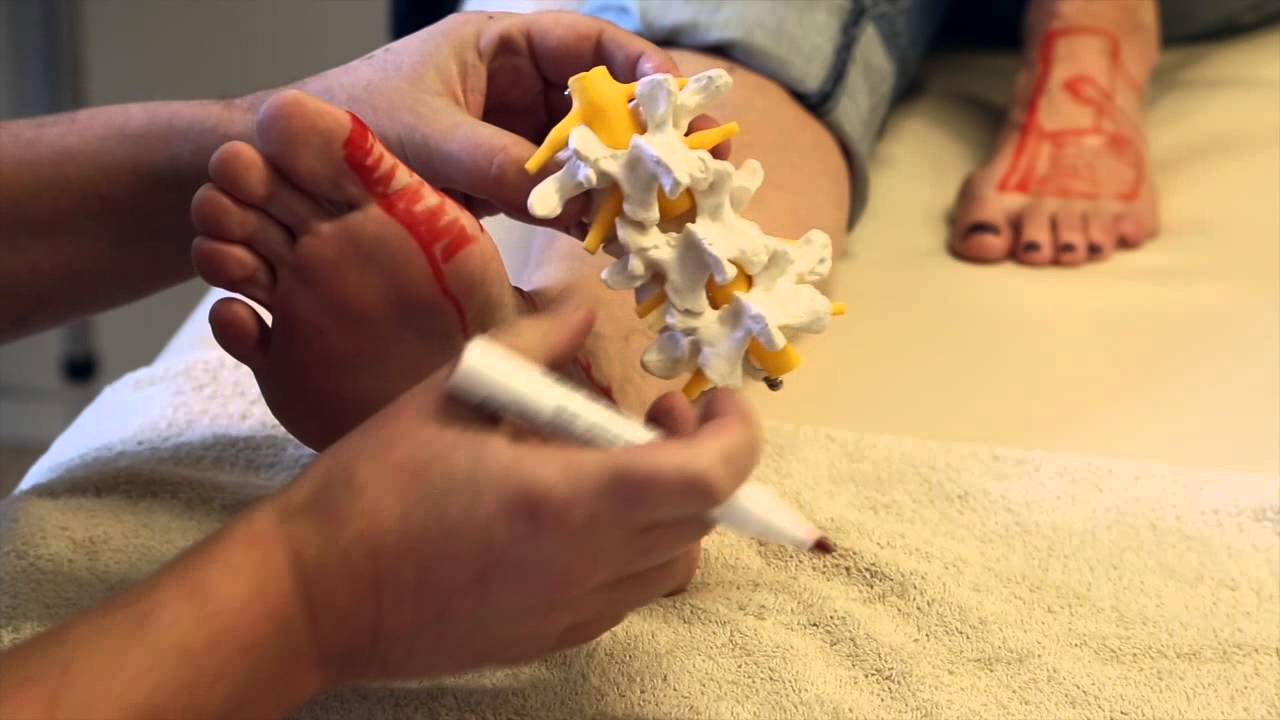Anatomisk Atlas - på fødderne - YouTube