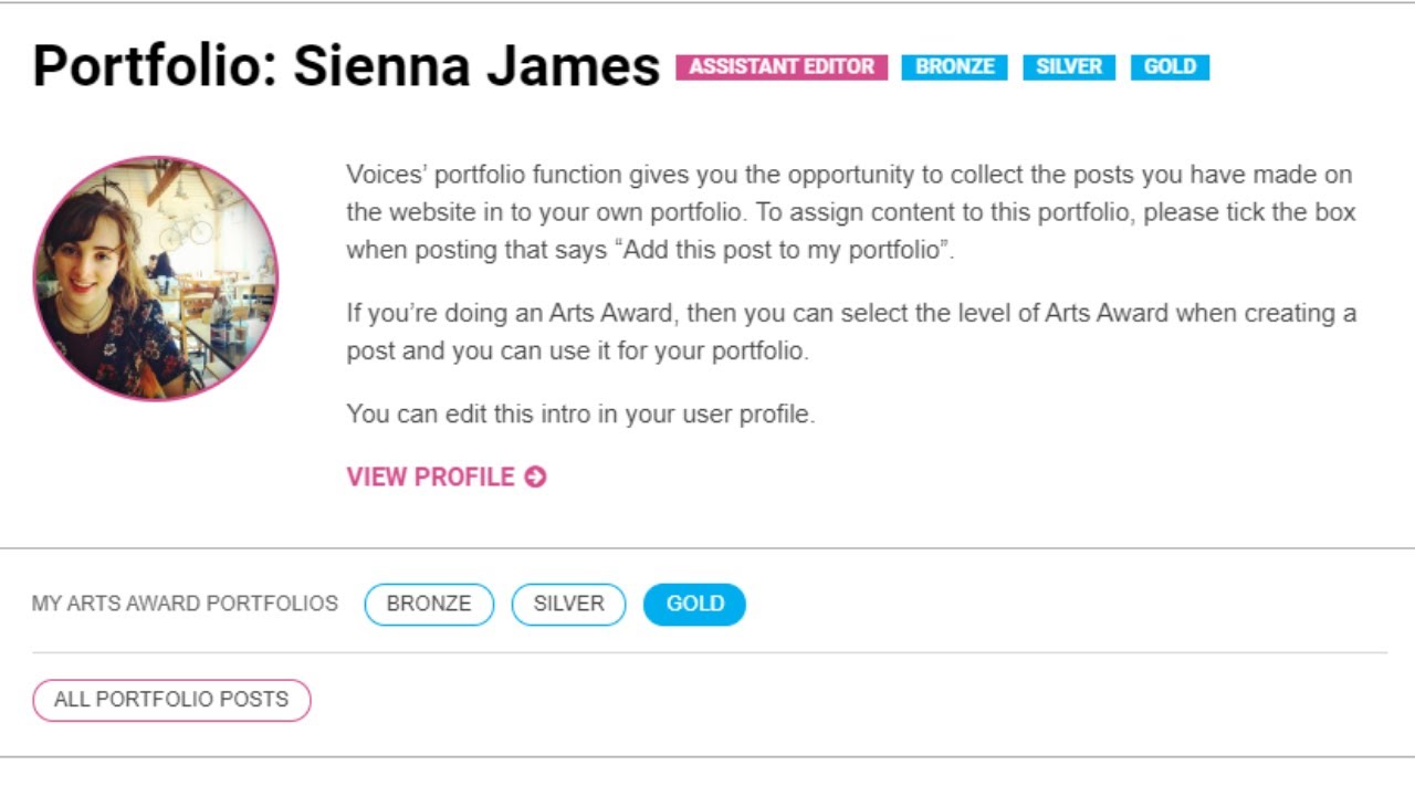 How to use the Voice portfolio function in your Arts Award - YouTube