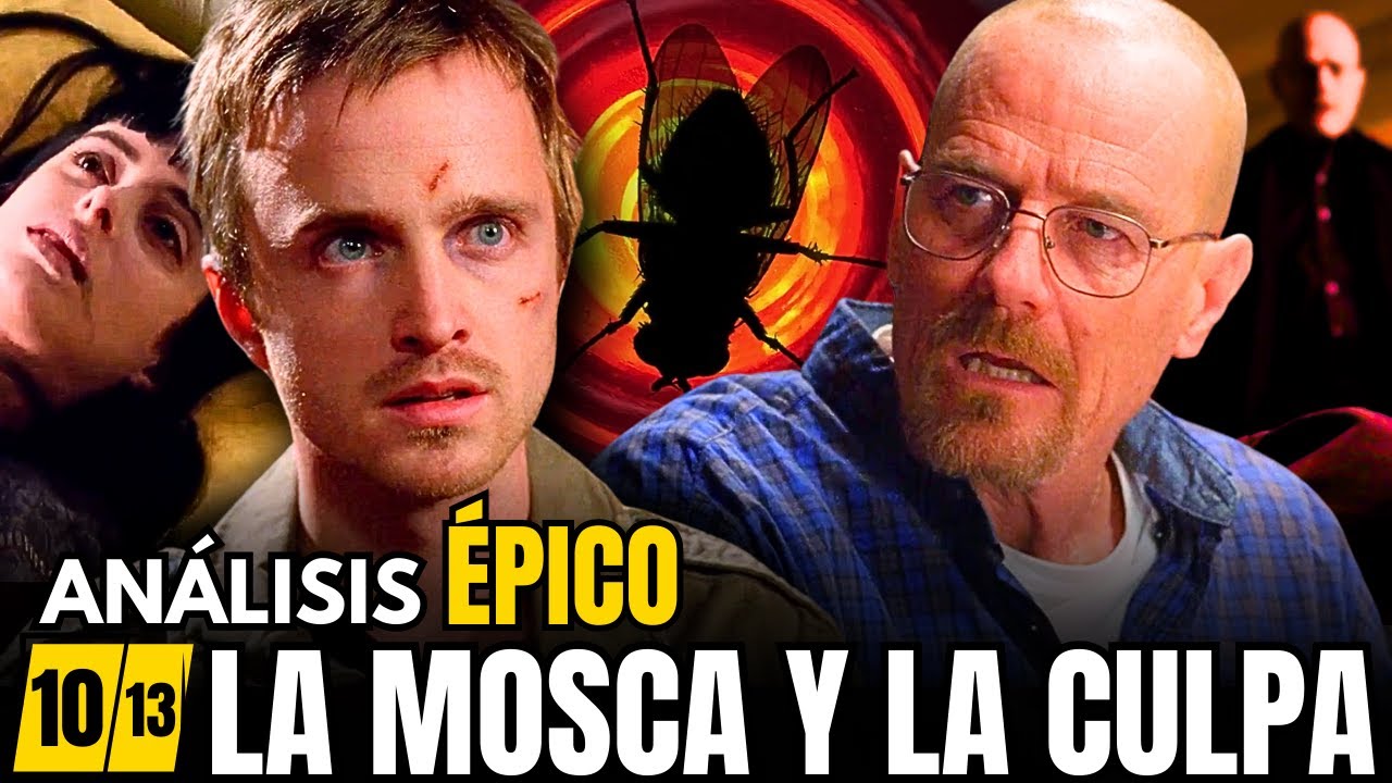 Breaking Bad: La Batalla de la Mosca, Fly | Episodio 10, Temporada 3 l ...