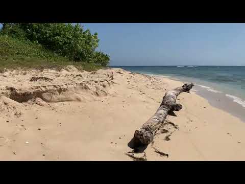 Let’s Tour Amiga Island, near Labadee, Haiti #travel #Haiti - YouTube