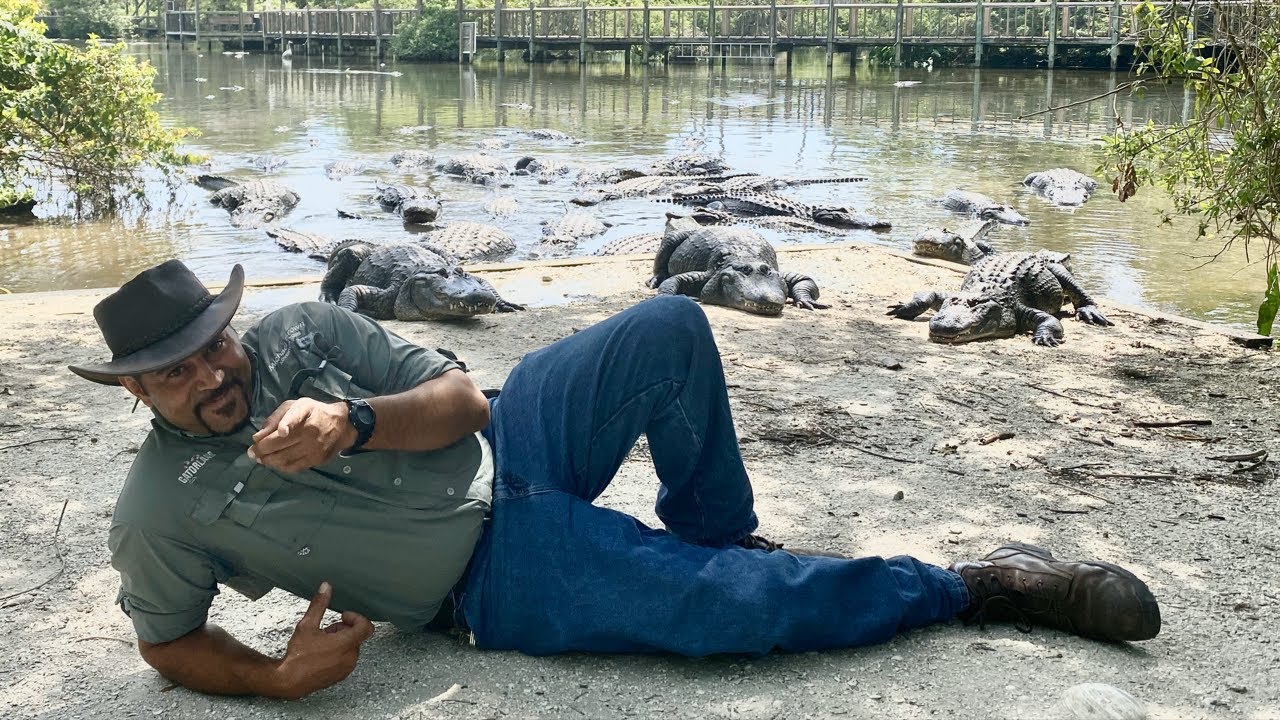 Huge Alligator Adventure Time Rehearsal! - YouTube