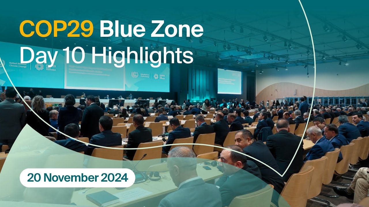 COP29 Blue Zone | Day 10 Highlights (20.11.2024) - YouTube