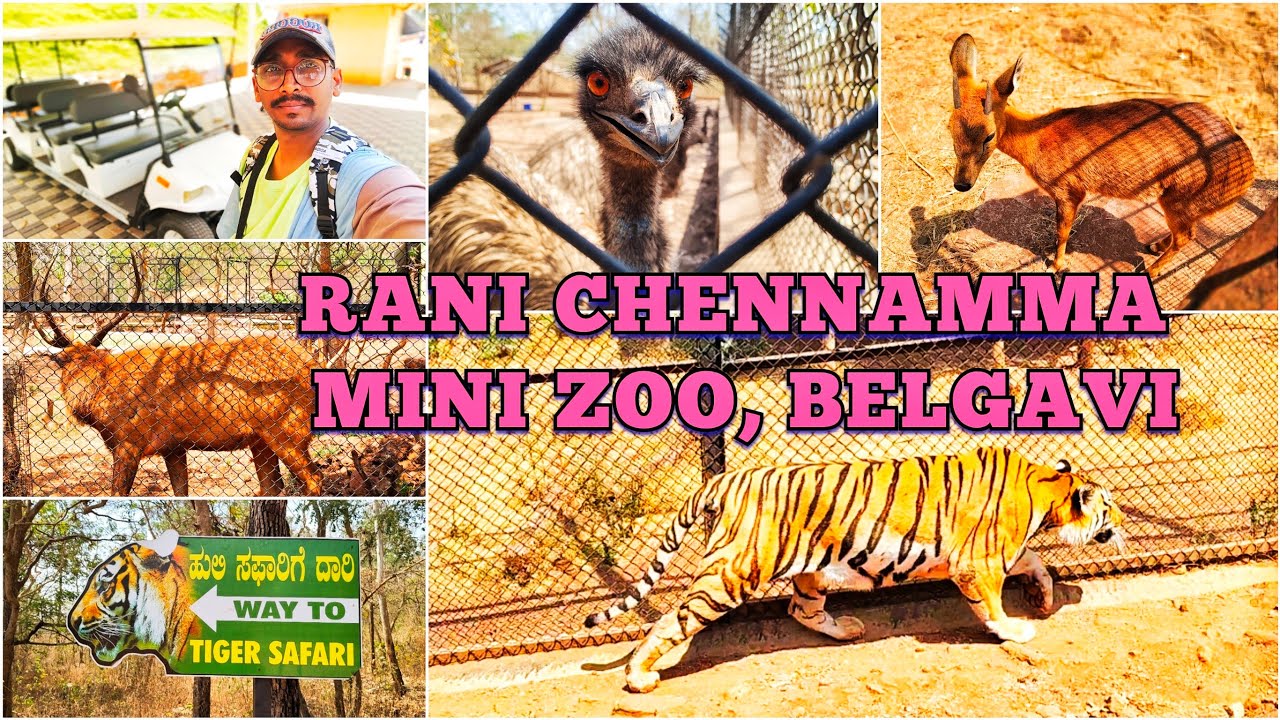 Kittur Rani Chennemma mini zoo, belgavi, kolhapur to belgavi - YouTube
