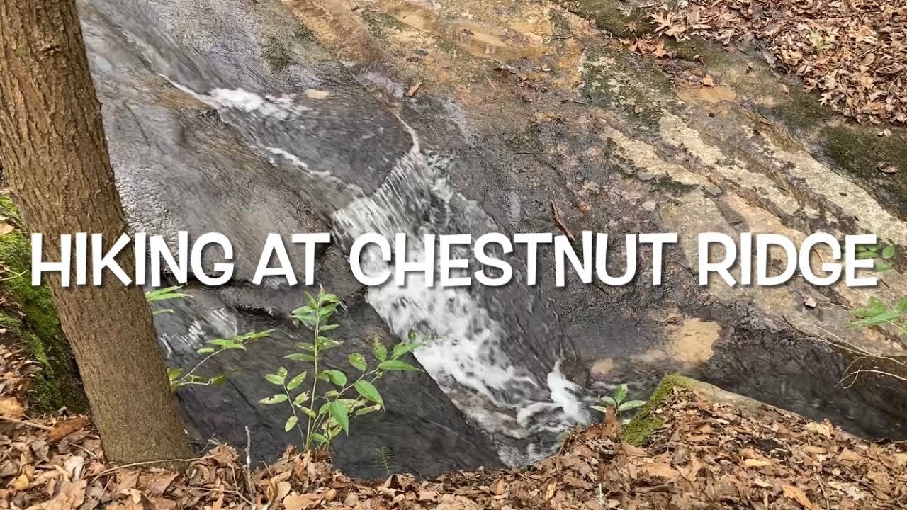 Hiking at Chestnut Ridge Heritage Preserve Trail in SC - YouTube