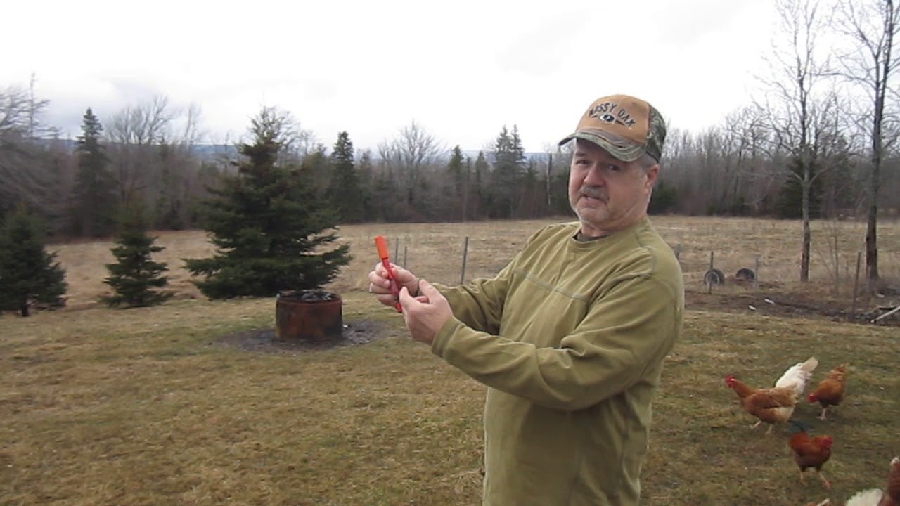 bear bangers demo 001 - YouTube