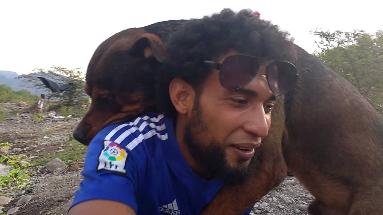 PERRO VIOLA A UN HOMBRE - YouTube