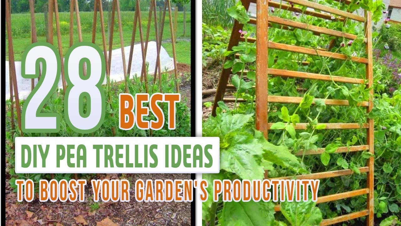 28 Best DIY Pea Trellis Ideas To Boost Your Gardens Productivity - YouTube