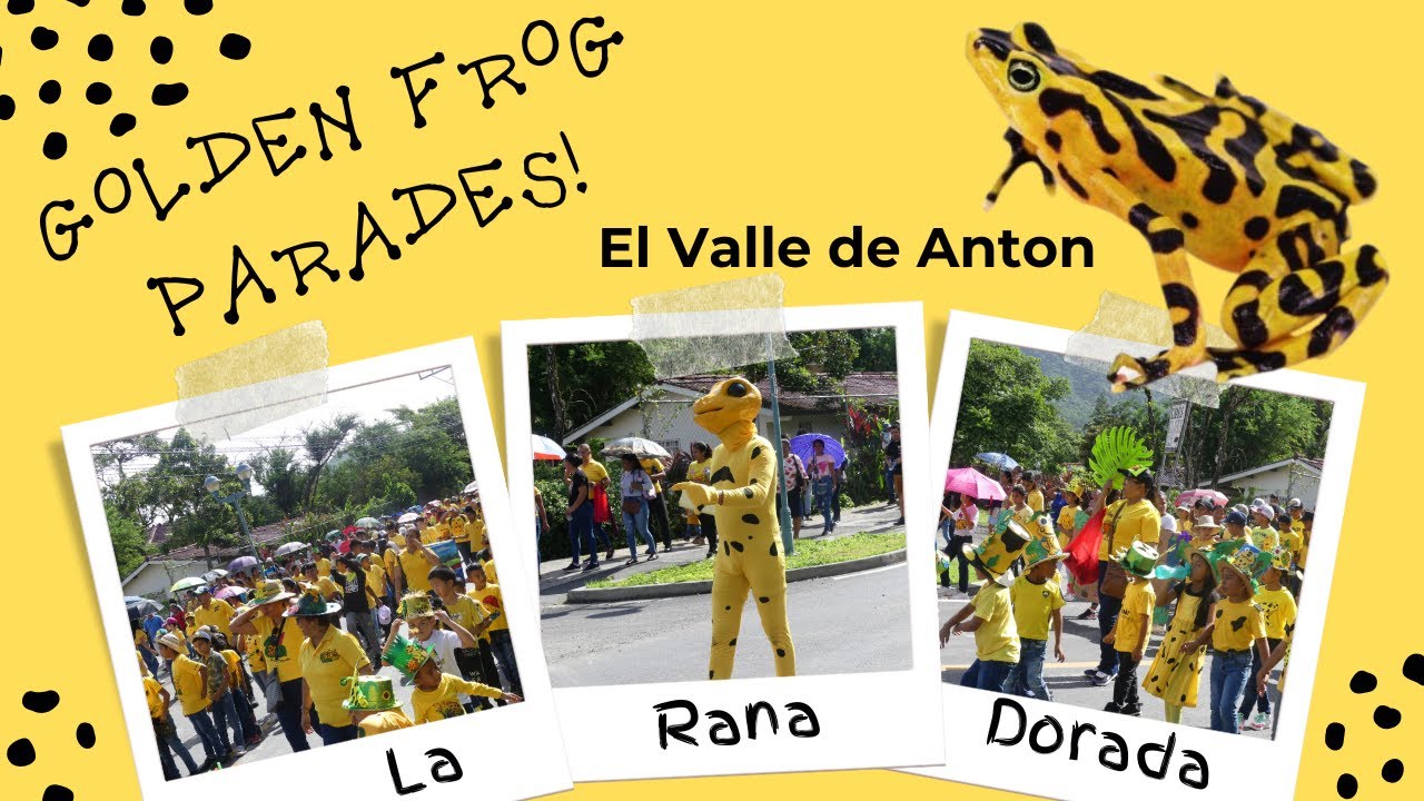 La Rana Dorado (Golden Frog) Celebration in El Valle, Panama! - YouTube