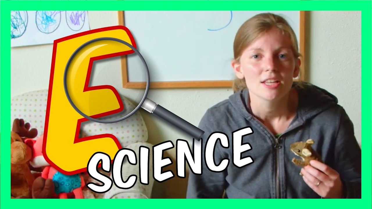Science - The Letter E! - Online Preschool Video Learning For Kids ...