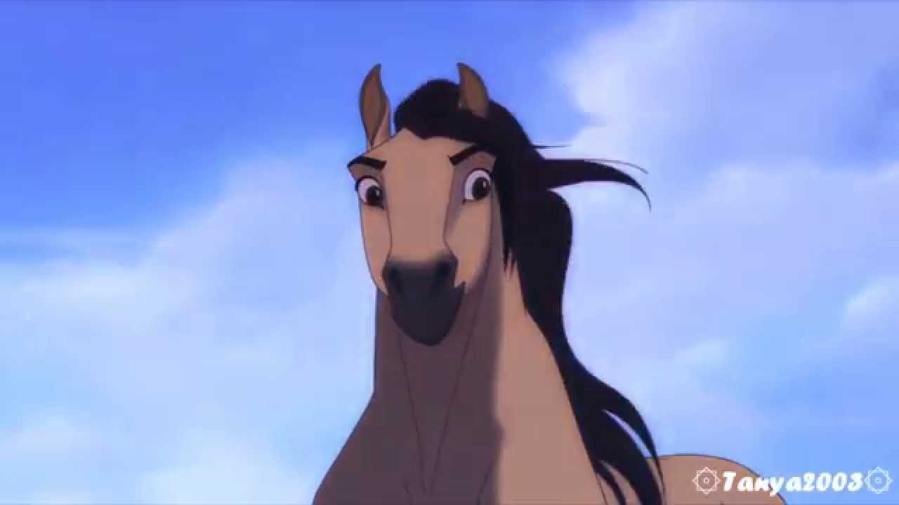 Esperansa Strider Spirit part 2 - YouTube