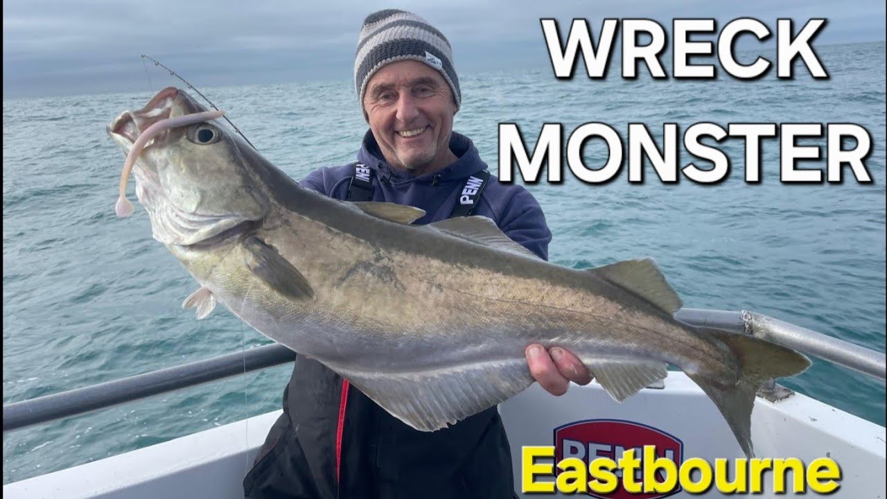 Eastbourne Wreck Fishing: Hard-Hitting Pollock - YouTube