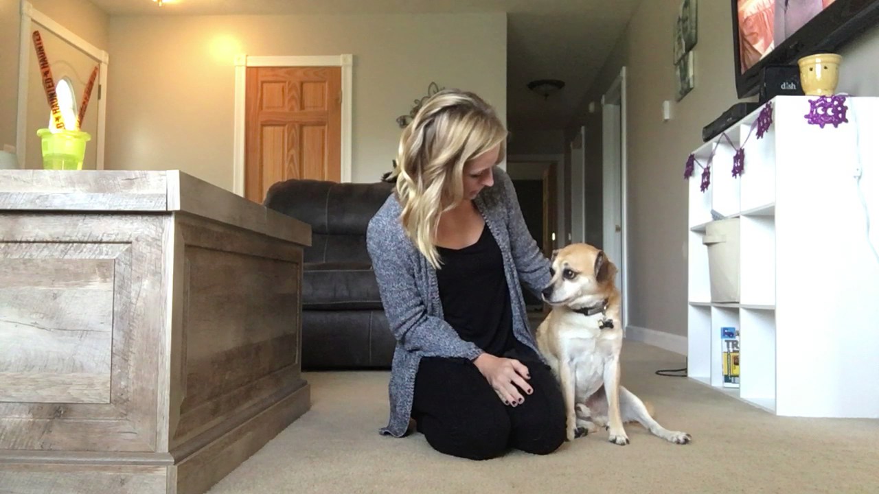 Allison and her beautiful dog - YouTube