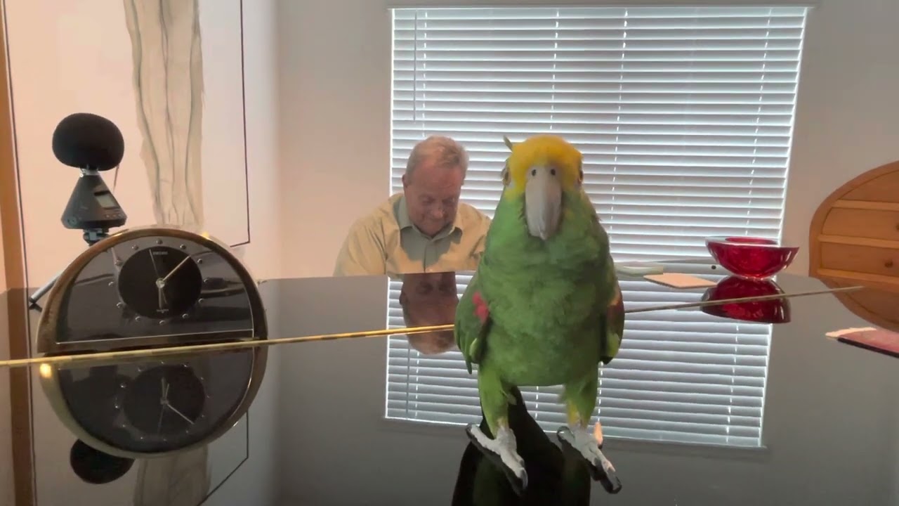 Teach me tonight (feat. Frank Sr.) - YouTube