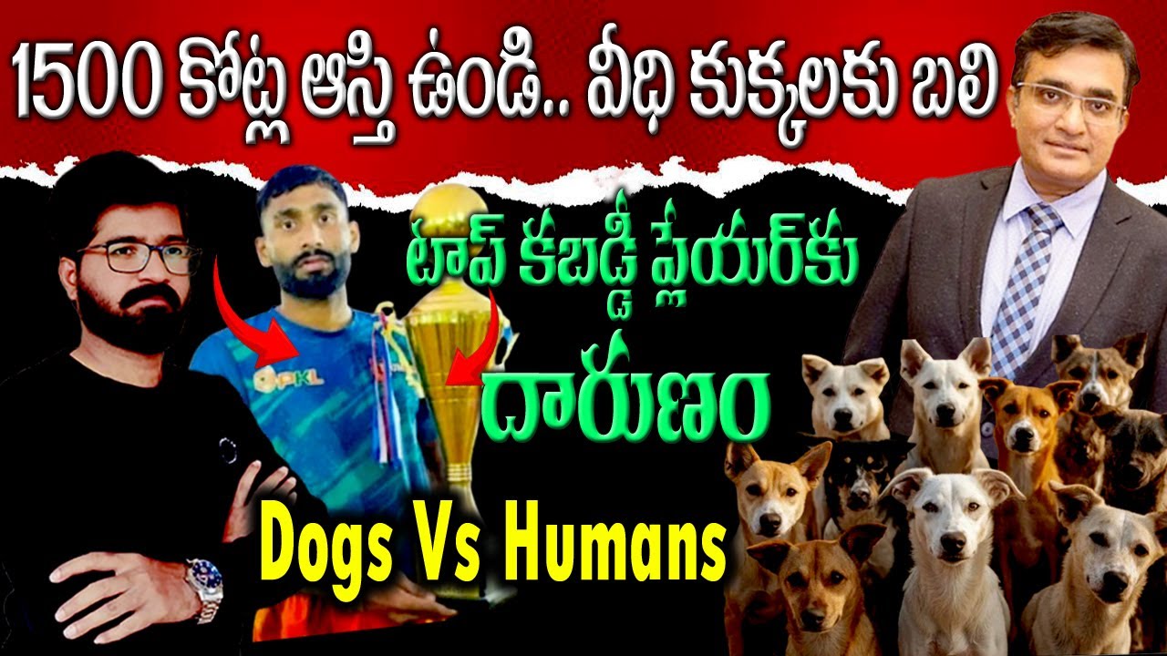 Street Dogs In Delhi || Street Dogs In India || Rgv Counter To Dog ...