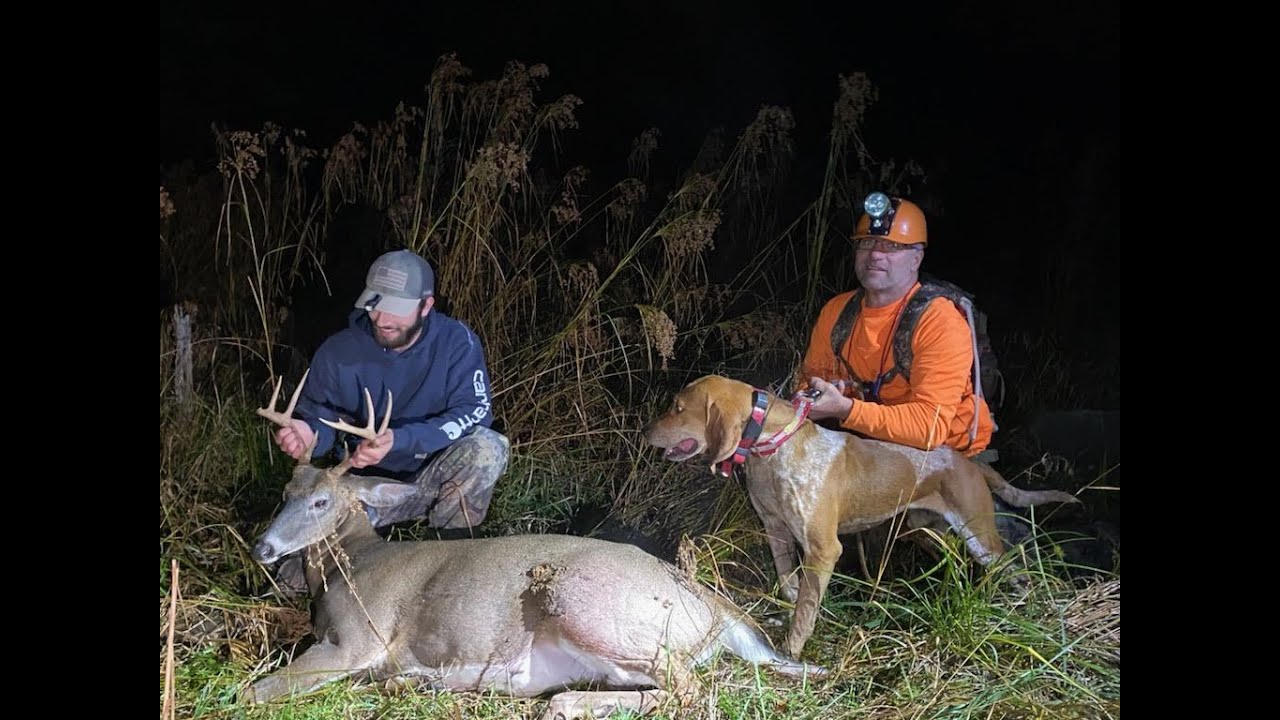 Red Tracking Wildlife Recovery - 2022 Season Review Revised - NH Blood ...