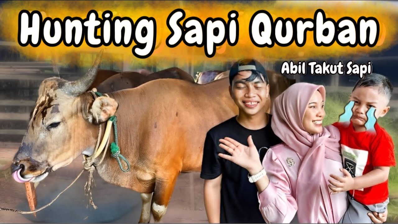 Mama Abil Hunting Sapi Qurban - YouTube