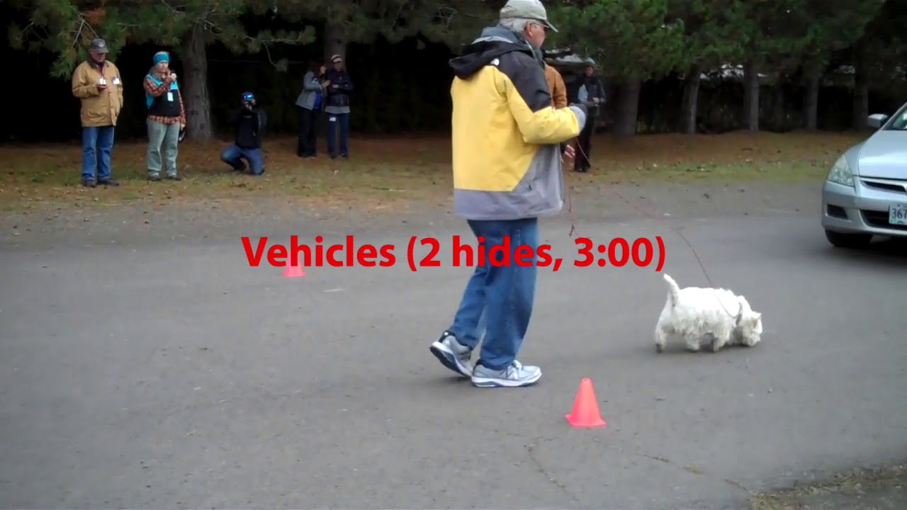 Twizzles Nw2 Youtube
