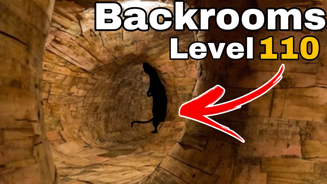 The Backrooms - What Is Level 110? - YouTube