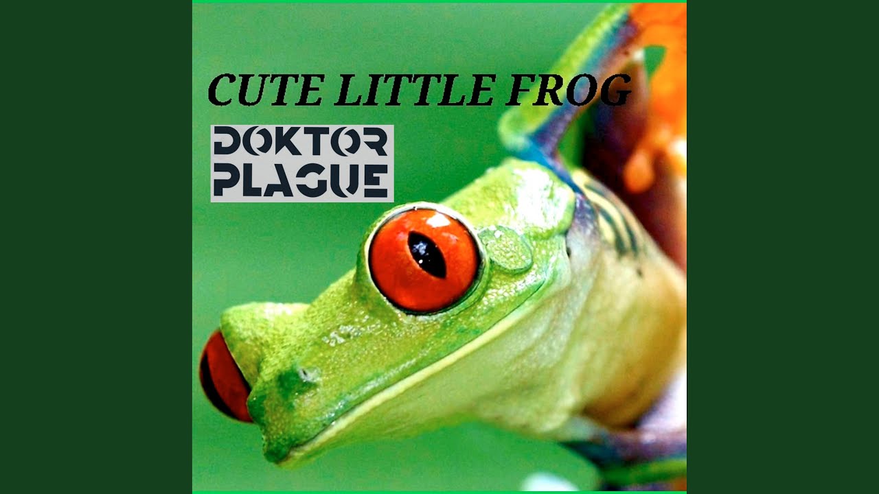 Lost in Froggy Dreamland - YouTube