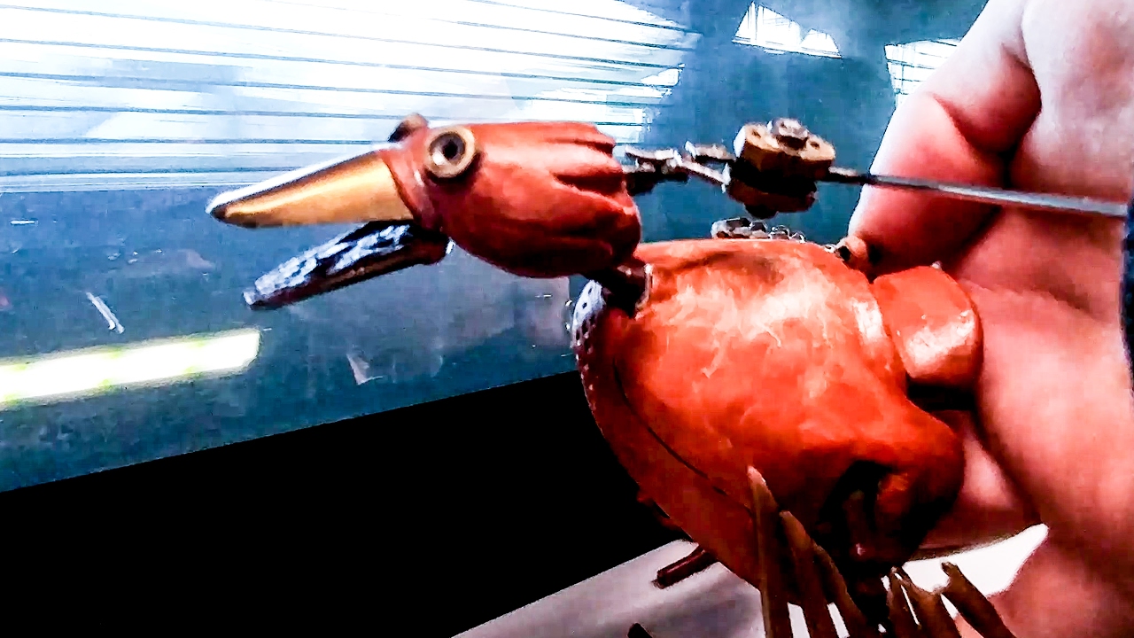 DABCHICK in the CHUNNEL - YouTube