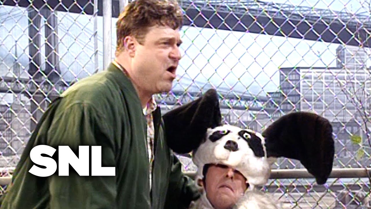 Dog Impersonators - Saturday Night Live - YouTube