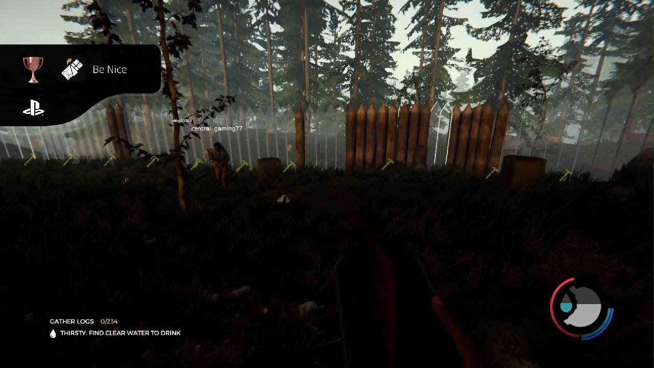 Exploration of the forest 2 - YouTube