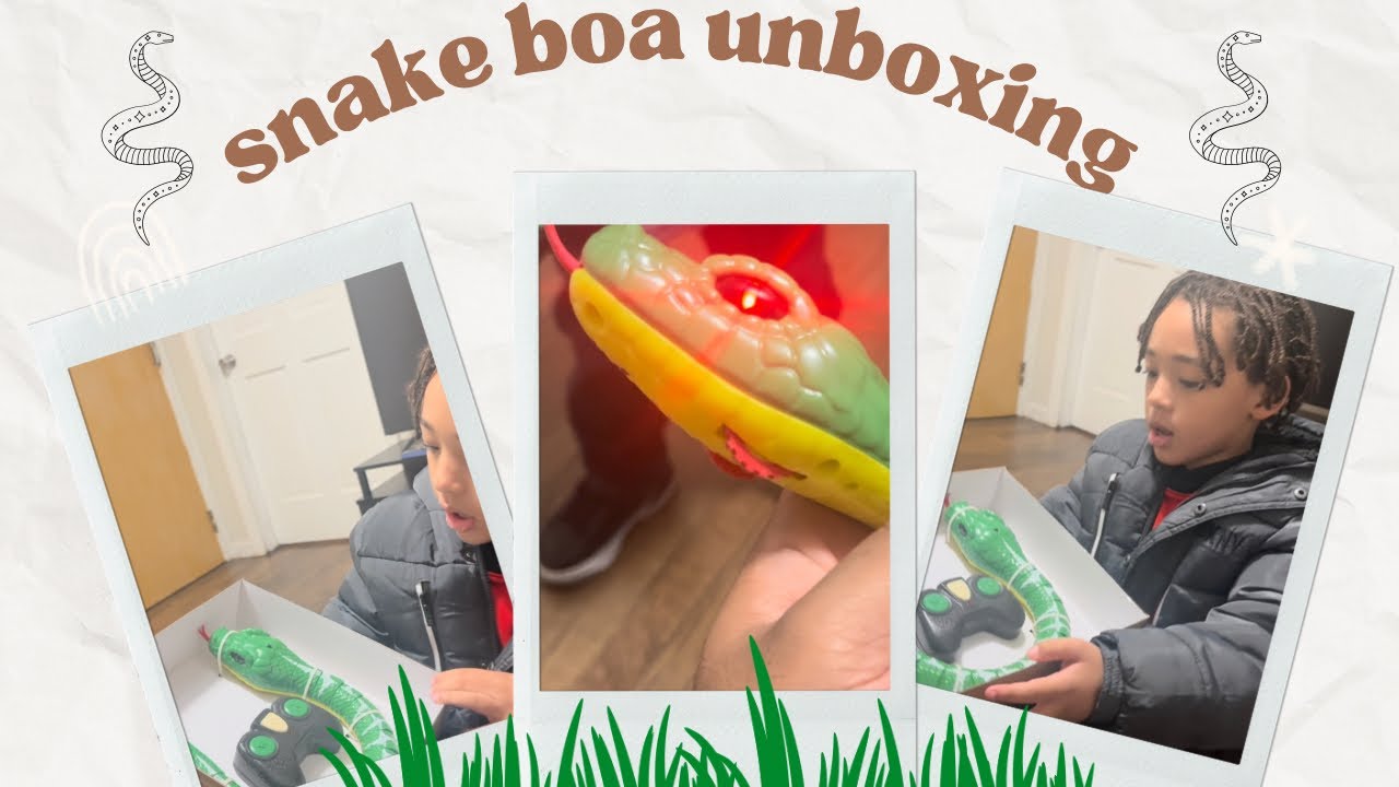 Snake unboxing video! - YouTube