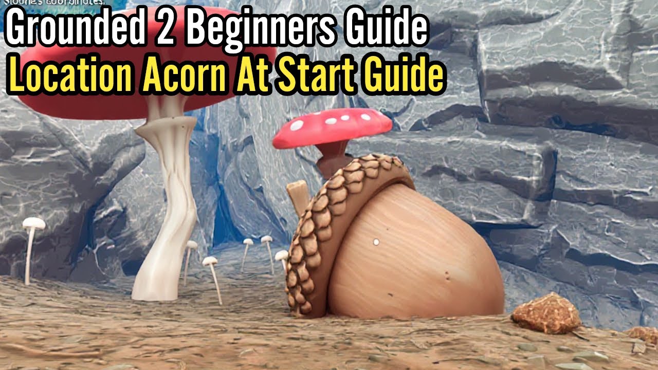 Grounded 2, Location Acorn At Start Guide - YouTube