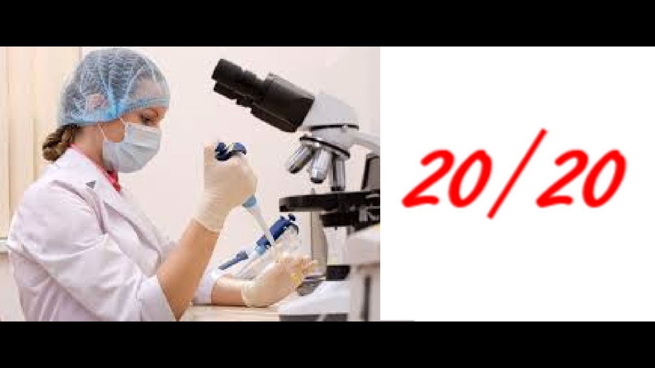 TP 1 BIOLOGE CELLULAIRE (PARTIE 2) : OBSERVATION DE LA STRUCTURE DE LA ...