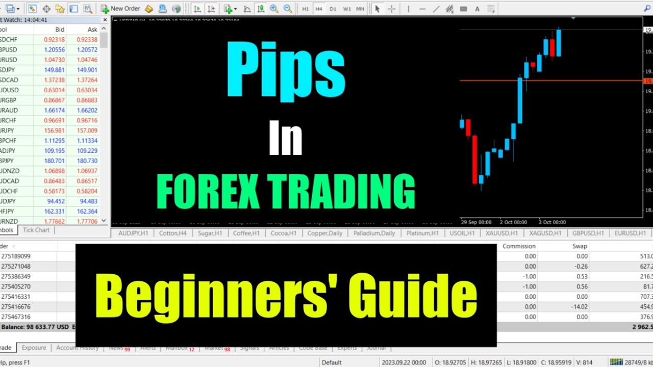 Pips in Forex Trading : Forex Beginners' Guide - YouTube