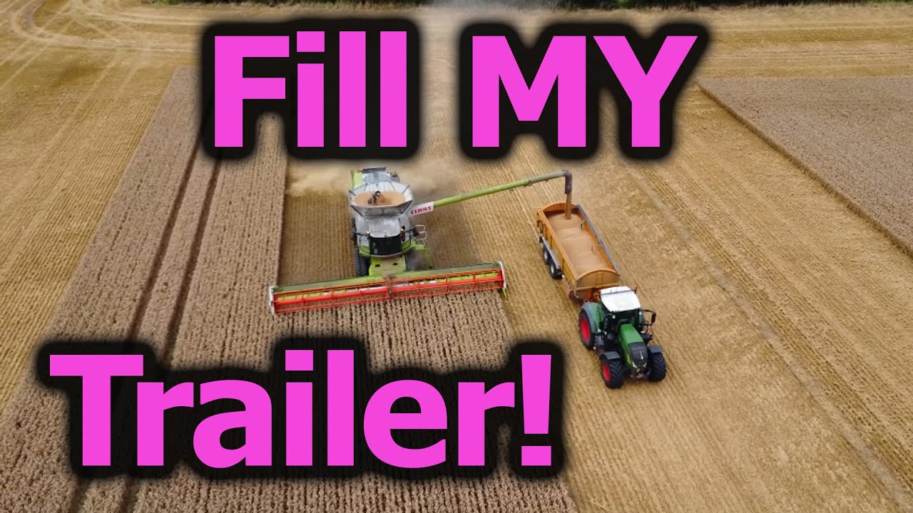 Gathering in the wheat - YouTube