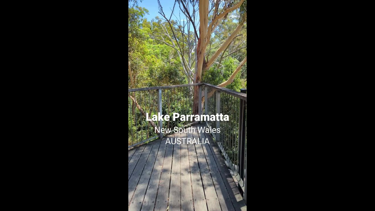 Lake Parramatta Reserve Bush Walk Scenery - YouTube