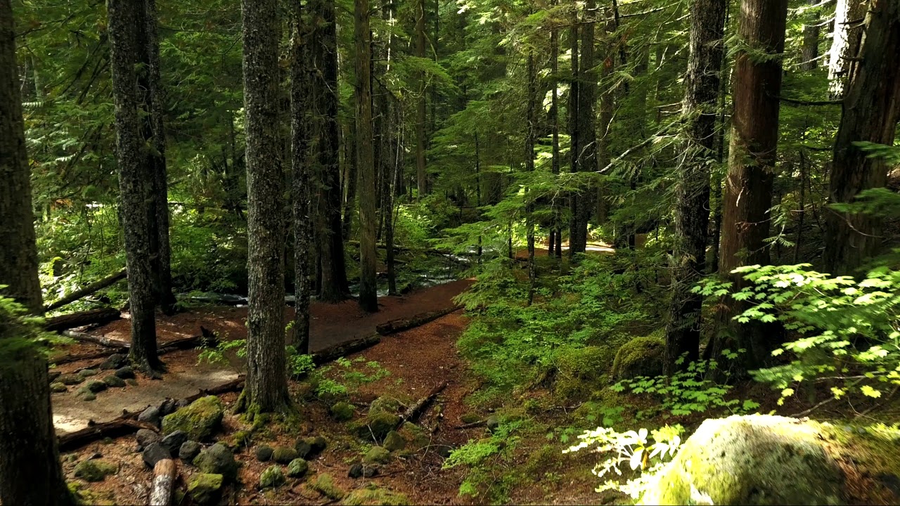 4K video Ultra HD Natural Beauty 4K video ultra HD - YouTube