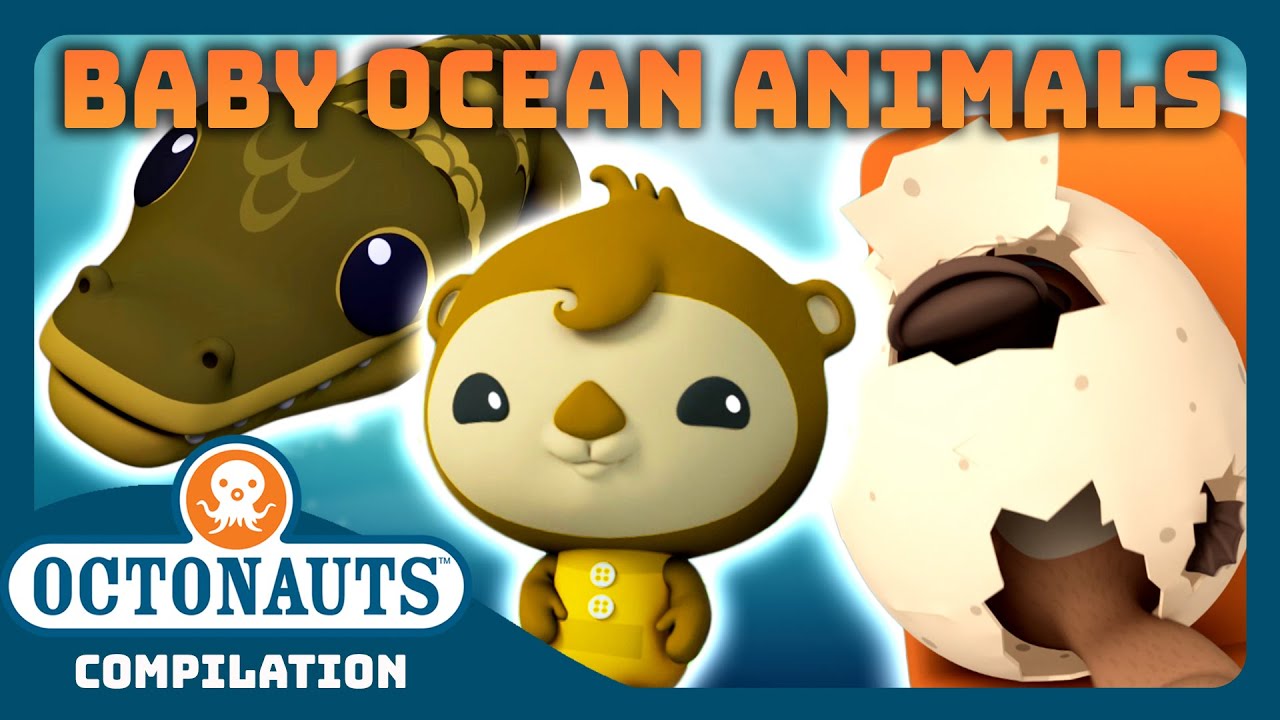 @Octonauts - 🌸 Baby Ocean Animals 🐣 | 3 Hours+ SPRING MARATHON - YouTube