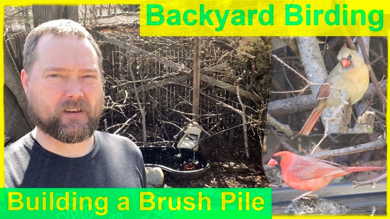 Backyard Birding: Building a Brush Pile - YouTube
