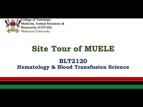 Site Tour BBLT2120 Haematology and Blood Transfusdion Science.mov