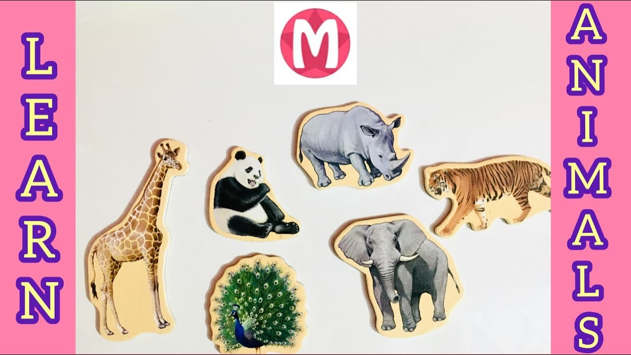 Learn Animal names with Mirza Twins - YouTube