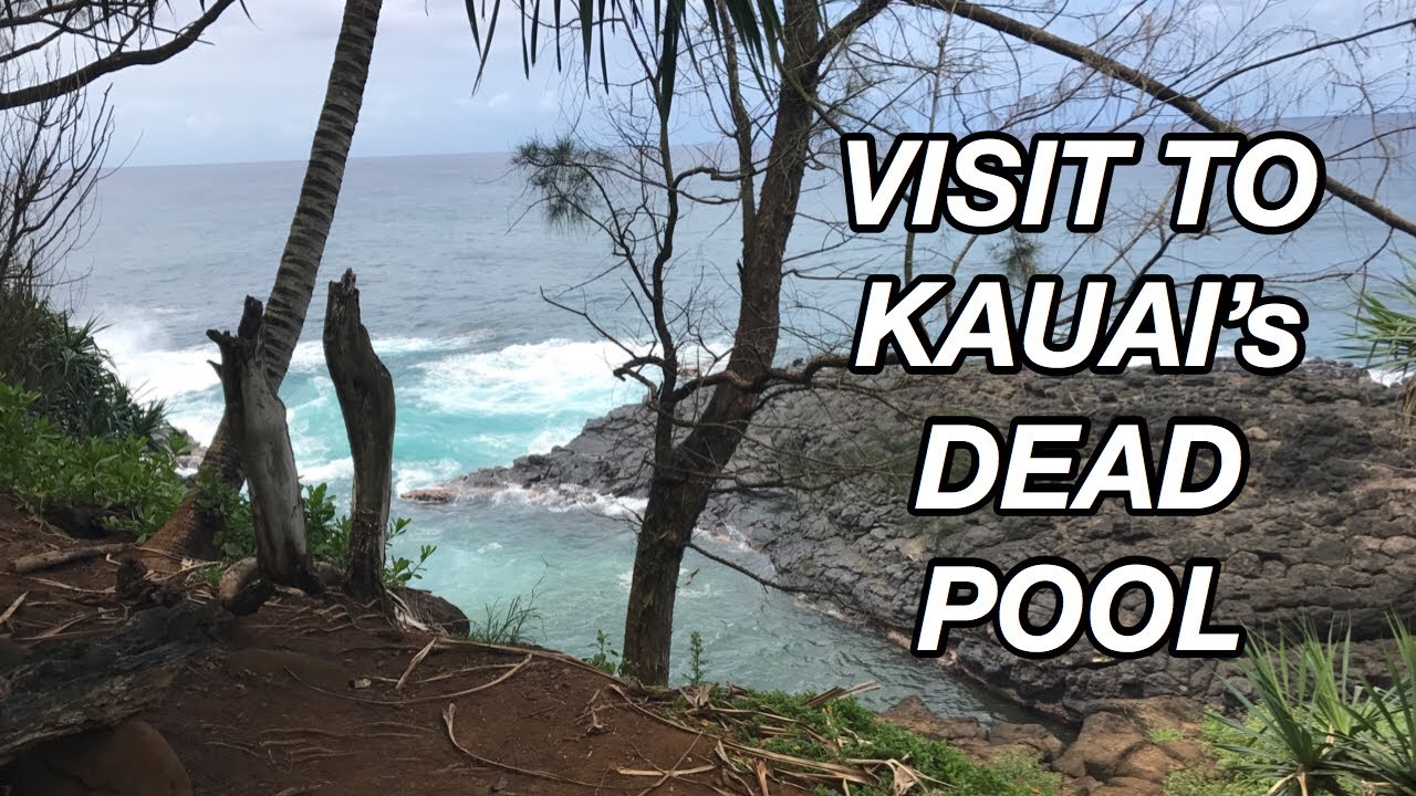 HUSBAND JUMPS INTO KAUI'S DEAD POOL!! - FULL VIDEO!! - YouTube