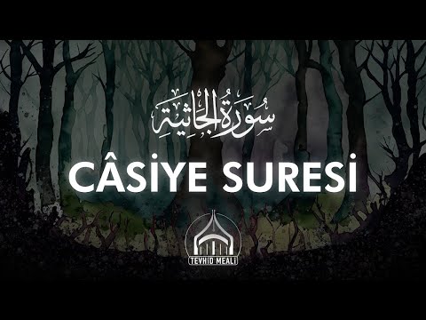 Câsiye Suresi Kıraati | Enes Yelgün