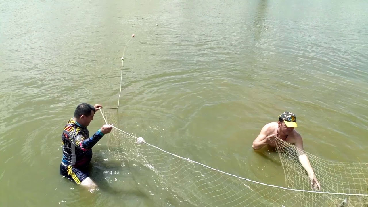 Pesca deportiva con chinchorro , Finca turística la cabaña - YouTube
