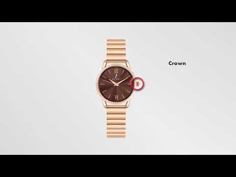Sylvi Dazzle Watch User Manual | Crown Positions & Time Adjustment Guide