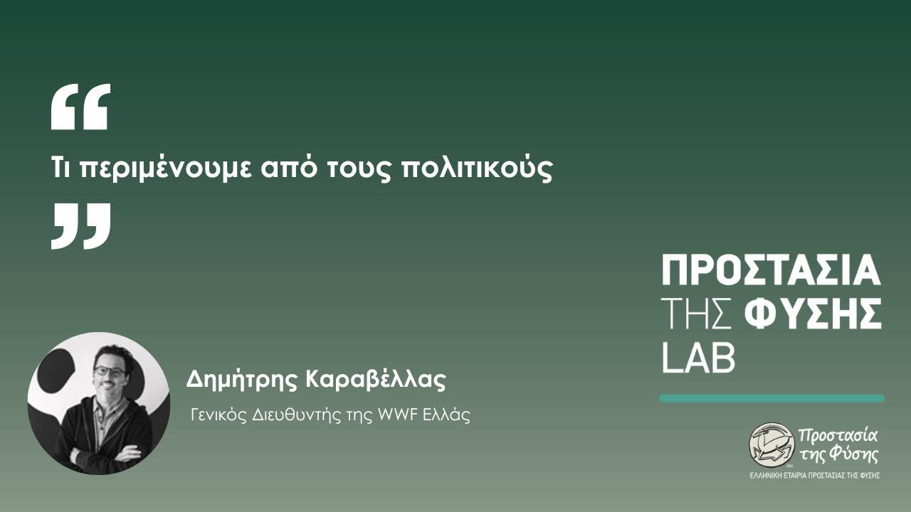 Τι περιμένουμε από τους πολιτικούς - YouTube