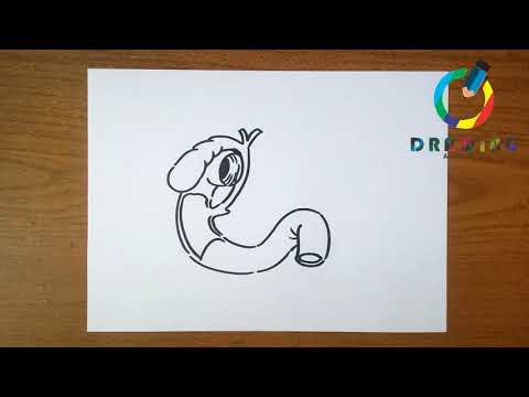🔴How to Draw Pancreas | كيفية رسم البنكرياس - YouTube