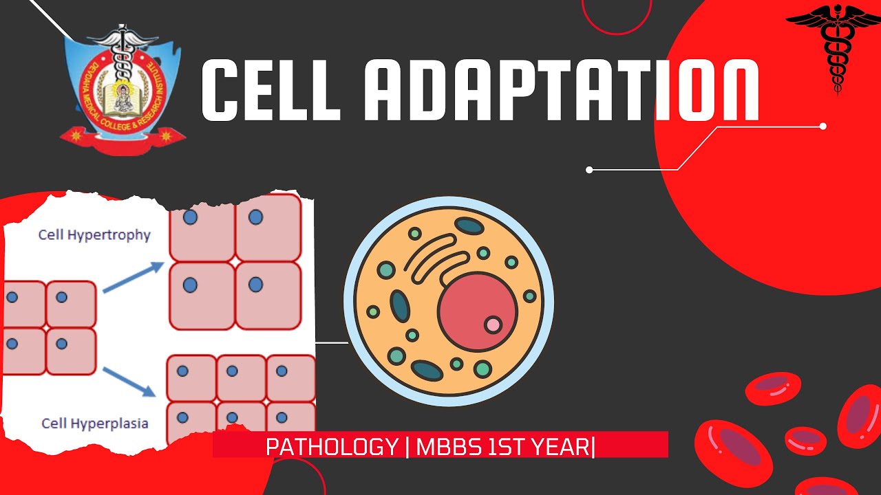 Cell adaptation | Cellular Pathology | Ep01 Chapter 1 | Devdaha Medical ...