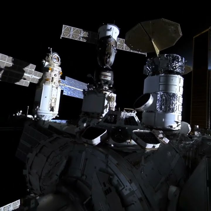 the most beautiful thing I've ever seen - YouTube